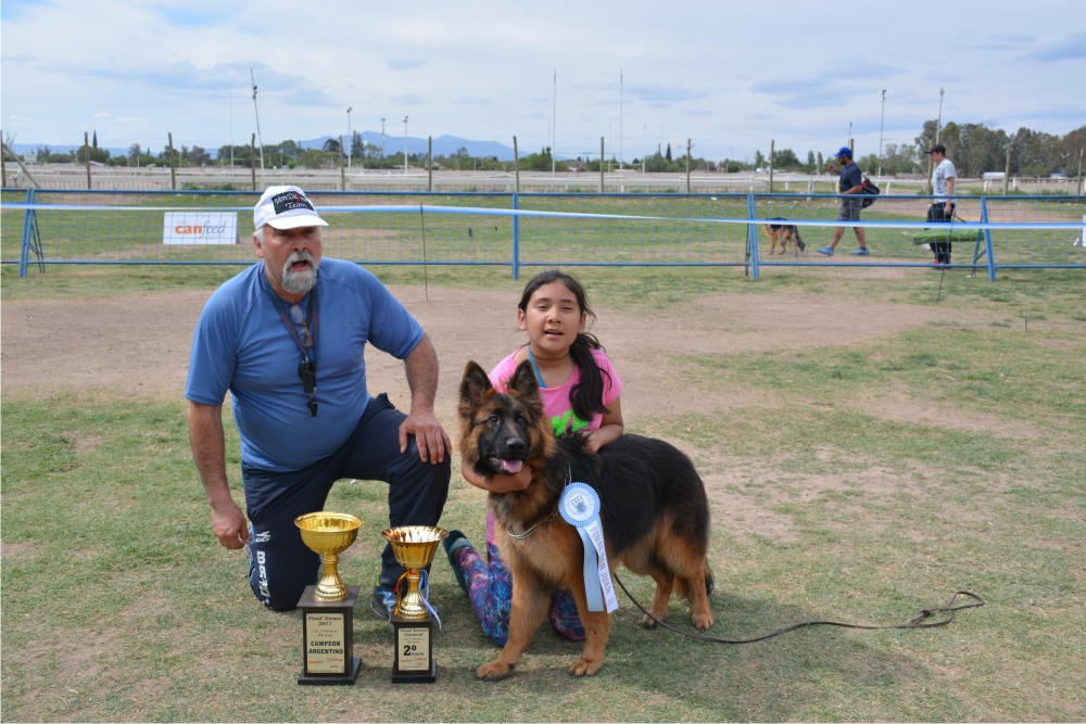 Campeones y Sub-Campeones Nacionales 2017 del Perro Ovejero Alemán que ...